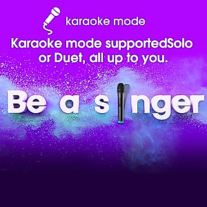 Hisense Ultimate Wireless Outdoor/Indoor Party Speaker with subwoofer, 2.0CH, 300W, IPX4 Waterproof,15 Hour Long-Lasting Battery, Bluetooth5.0, DJ and Karaoke Mode (HP100)