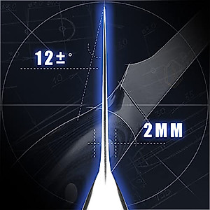 [6-Inch]Boning Knife,Fanteck Fillet Knife Damascus Japanese Pro High Carbon Steel Sharp Curved Flexible Blade Kitchen Cleaver for Fish Poultry Chicken Meat Cutting[Gift Box & Sheath]-G10 Blue Handle