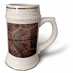 3dRose Wood Turtle carapace detail, USA - Stein Mug, 18oz , 22oz, White
