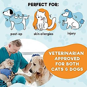 BENCMATE Protective Inflatable Collar for Dogs and Cats - Soft Pet Recovery Collar Does Not Block Vision E-Collar (Large, Blue)
