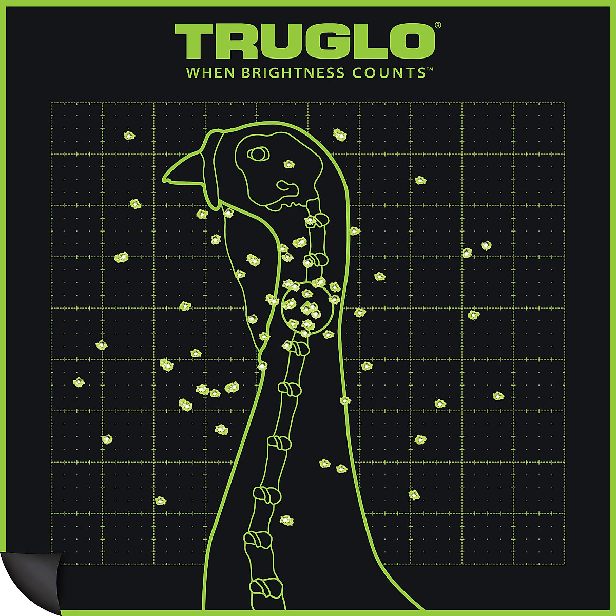 TRUGLO TRU-SEE Turkey Target 6-Pack, 12x12