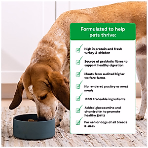 Open Farm Grain-Free Dry Dog Food with Ethically Sourced Ingredients, Non-GMO Veggies & Superfoods to Support Joints & Mobility, Senior Dog Recipe, 4lb Bag (64oz Bag)