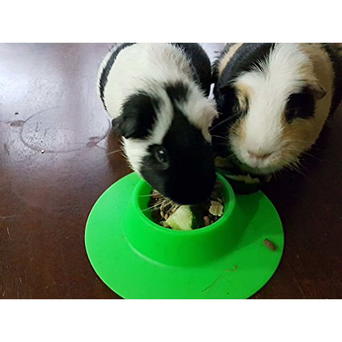 STAYbowl Tip-Proof Ergonomic Pet Bowl for Guinea Pig and Other Small Pets, 1/4-Cup Small Size, Spring Green