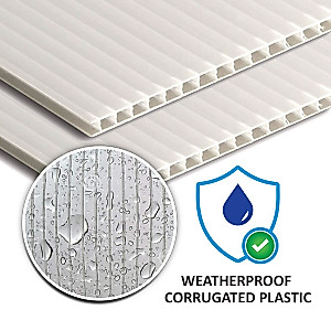 Voila Print Custom Face Fans 12” With Wooden Handle, Wedding Heads, Graduation Head, Bachelorette Groom Face, Birthday Party Head Fans (1)