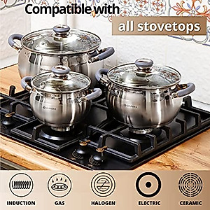 Daniks Modern Stainless Steel Stock Pot with Glass Lid| Induction 2 Quart | Dishwasher Safe Pot | Heatproof Handles | Soup Pasta Stew Pot | Silver