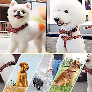 Fas Plus No Pull Dog Harness and Leash Set with Bow Tie Collar,Adjustable Vest Harness Back Clip Heavy Duty 4FT Leash for Small, Medium, Large and Extra Large Dogs.(Red/Green-XL)