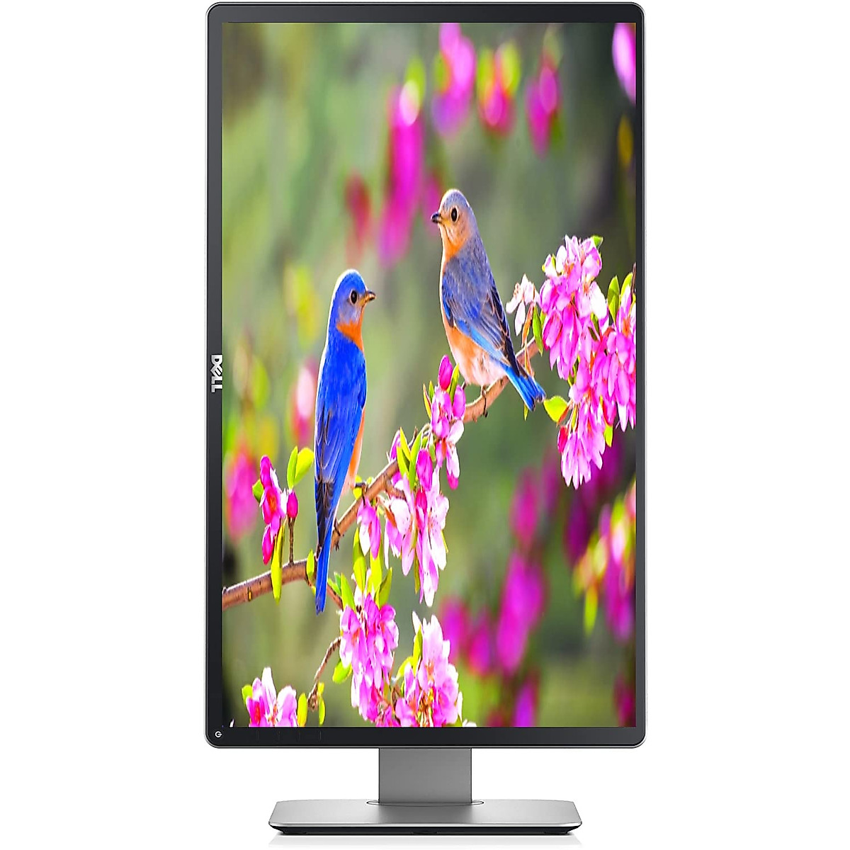 Dell P2314HT Monitor Full FHD 1920 x 1080, Display Port, VGA, DVI, 16.7 Million Colors, 8 ms Response time, 178 Degree Viewing Angle, 30-83 kHz Refrest Rate (Renewed)
