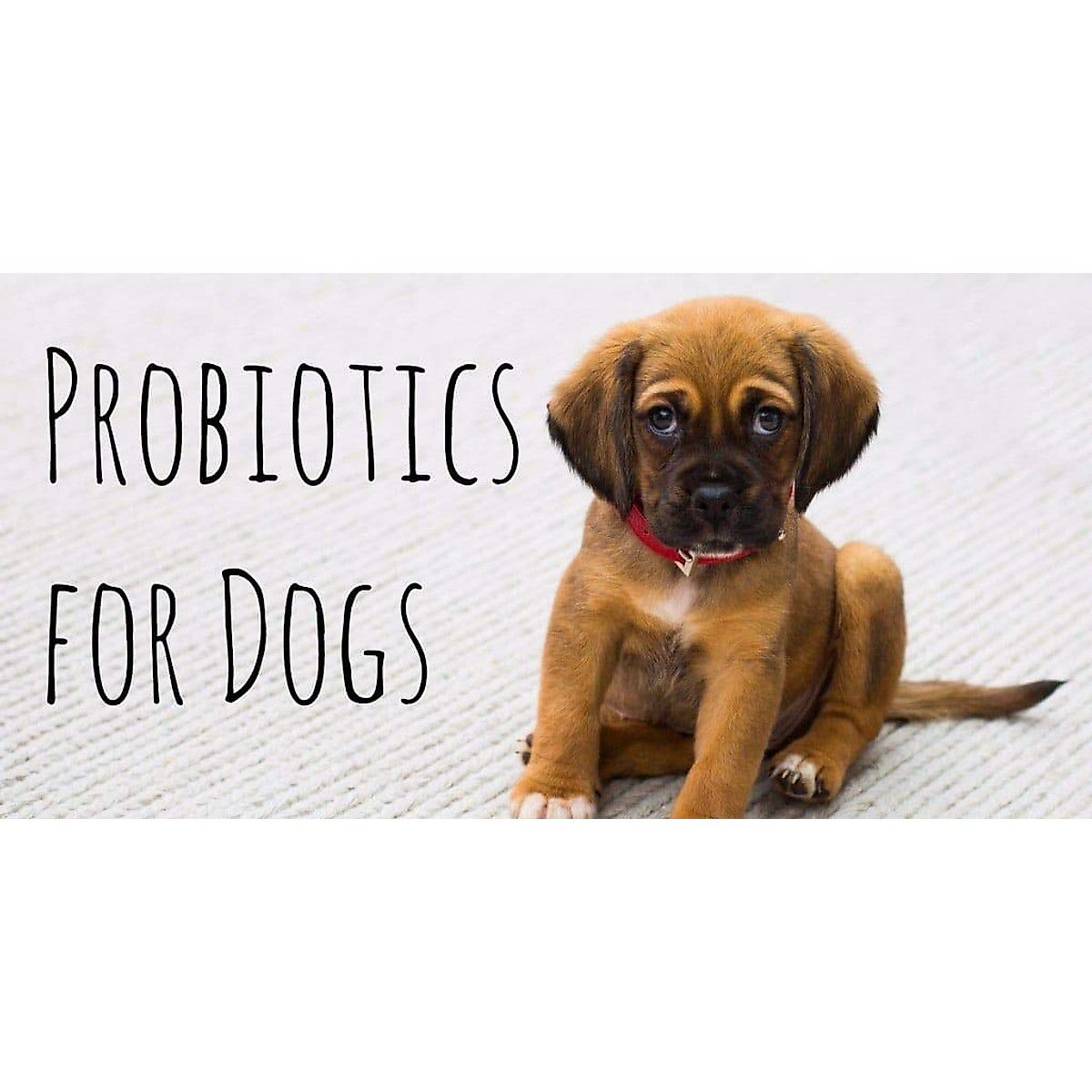 MY LUCKY PETS LLC Dog probiotics chewables - Dog PROBIOTICS - Bad Breath and Passing Gas Solution - Oral Health - bifidobacterium bifidum - 1 Bottle (60 Treats)