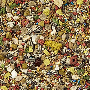 Kaytee Fiesta Conure Pet Bird Food, 4.5 Pound