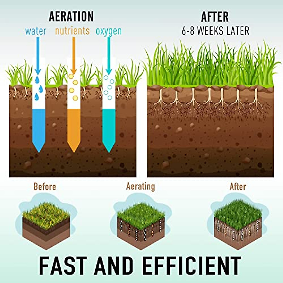 Colwelt Spike Lawn Aerator, Manual Aerator for Compacted Soils and Lawns, Non-Slip T-Handle Spike Aeration with Four 3.5-Inch Solid Steel Spikes, 38-Inch