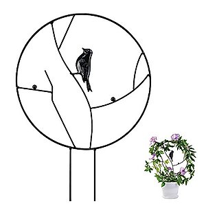 16.3" Tall Garden Trellis for Climbing Plants, Rust-Proof Iron Trellis for Indoor Potted Plants, Bird Round Circle Trellis, Metal Vine Plant Support Trellis for Vines Hoya Houseplants Ivy Flowers