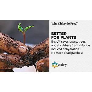 Branch Creek Entry Chloride-Free, Non-Toxic, Liquid Snow and Ice Melt Certified Safe for Pets, Plants, Floors, Concrete and Metal (2.5 Gallon)