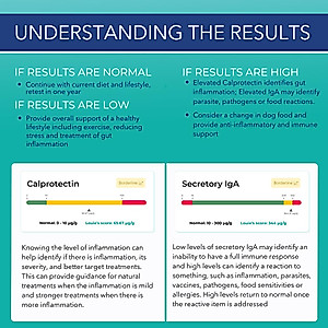 Innovative Pet Lab at-Home Test Kit- Gut Health Evaluation and Expert Panel Insights- Ideal for Dogs and Cats- Pet Essential for Digestive Health