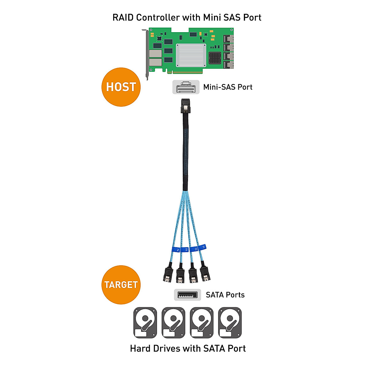 Cable Matters Internal Mini SAS to SATA Cable 3.3 Feet (SFF-8087 to SATA Forward Breakout)
