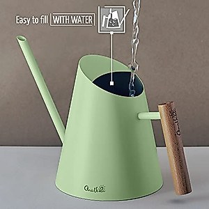 Grehge an Indoor Plants, Small Stainless Water Can Wooden Handle for House and Office Bonsai Flowers, Cute Watering Can Garden Sculpture Outdoor Decoration