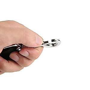 Strong Durable Nylon Dog Training Leash, Traction Rope, 4Ft /5 Foot /6 Feet Long, 5/8 inch 3/4 Inch 1 Inch Wide, for Small and Medium Dogs