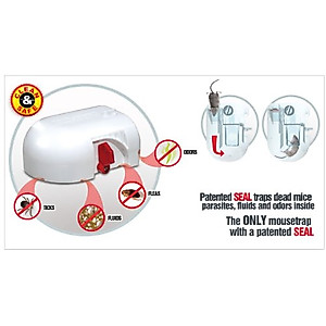 Victor Kill & Seal Mouse Trap 2 Pack - M265 - No Touch No See Trap