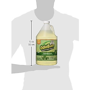 OdoBan Professional Disinfectant and Odor Eliminator Concentrate, 1 Gallon, Original Eucalyptus Scent