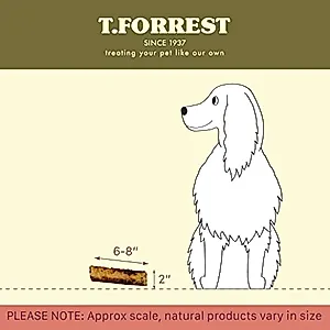 T. Forrest Beef Rib Dog Bones 6-8" (6 Pack) Natural Grass Fed Made in UK