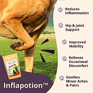 Glacier Peak Holistics Inflapotion - Natural Anti-Inflammatory Relief for Dogs & Cats, Organic Remedy Arthritis, Inflammation, Hip & Joint Pain - 3oz