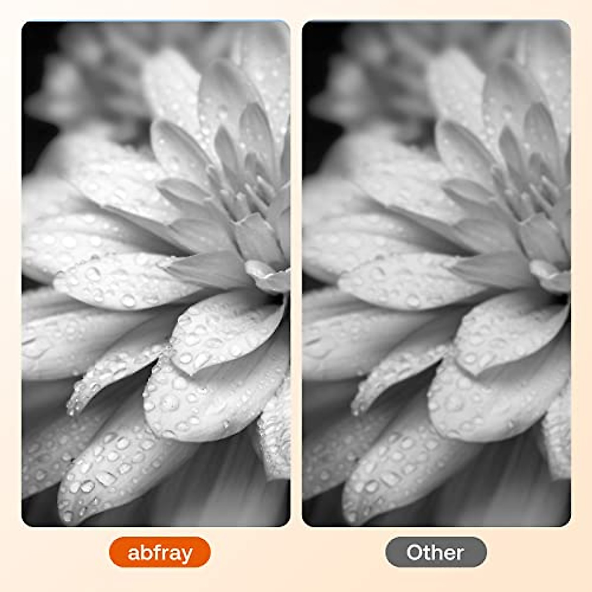 245XL Ink Cartridges for Canon PG-245 XL 2 Black Compatible for PIXMA MG2420 MG2520 MG2522 MG2525 MG2920 MG2922 MG2924 MG3020 MG3022 MG3029 TR4520 TR4522 TS3120 TS3122 TS3320 TS202 TS302 Printer