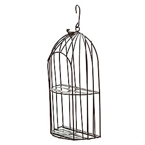 TJ Global 2-Plant Iron Birdcage Hanging Planter, Metal Wire Flower Pot Basket Wrought Iron Plant Stands for Plants, Flowers, Garden, Patio, Balcony Outdoor and Indoor Décor