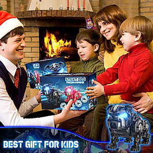 Blkont Remote Control Robot Dog Toys for Boys, Rechargeable Programmable Stunt Robot Dog with Singing, Dancing and Touch Functions for Boys Ages 3 4 5 6 7 8 9+ Birthday, Black