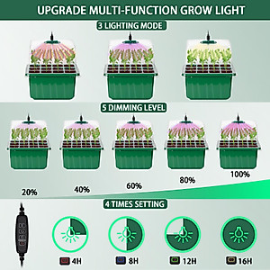 ZHOLAH Self-Watering Seed Starter Tray - Kit with Grow Light and Humidity Dome, 6-Pack 72-Cell Plant Seedling Tray,Reusable Plastic Germination Trays for Indoor Gardening Seeds Growing Starting