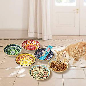 5.5 inch Wide Shallow Cat Food Bowl Set for Relief Whisker Fatigue -Ceramic - 6 Colorful Cute Small Flat Kitten Feeding Dish/ Dishes - Microwave and Dishwasher Safe - 8 oz