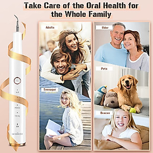 Plaque Remover for Teeth, Electric Tooth Cleaner Tartar Remover for Teeth with LED Light,4 Modes Rechargeable Teeth Cleaning Kit with Dental Tools, 2 Replaceable Heads (White A)