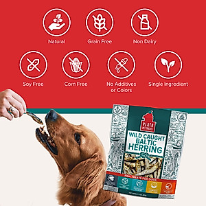 PLATO Pet Treats Fish Dog Treats - Air-Dried, Single Ingredient Dog Treat - with Omega 3 & 6 Fatty Acids to Support Skin and Coat - 100% Whole Fish - Wild Caught Baltic Herring Dog Treats - 3oz