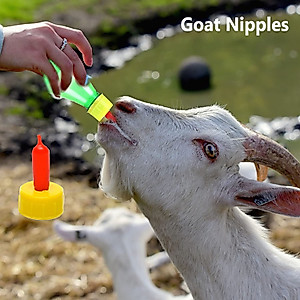 DXary Pritchard Nipple for Goats, Small Soft Goat Nipples Silicone Lambs Milk Drink Nipple for Feeding Sheep Goat Lamb Puppy Nursing Farm Supplies (15 Pieces)