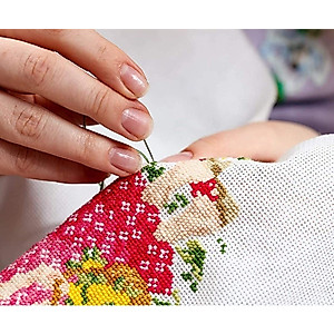 COKYIS Cross Stitch Kits for Adults Stamped Poodle 11CT Printed Cross Stitch Kits,Counted Embroidery Kits for Beginner Wall Art Home Decoration 40x50cm