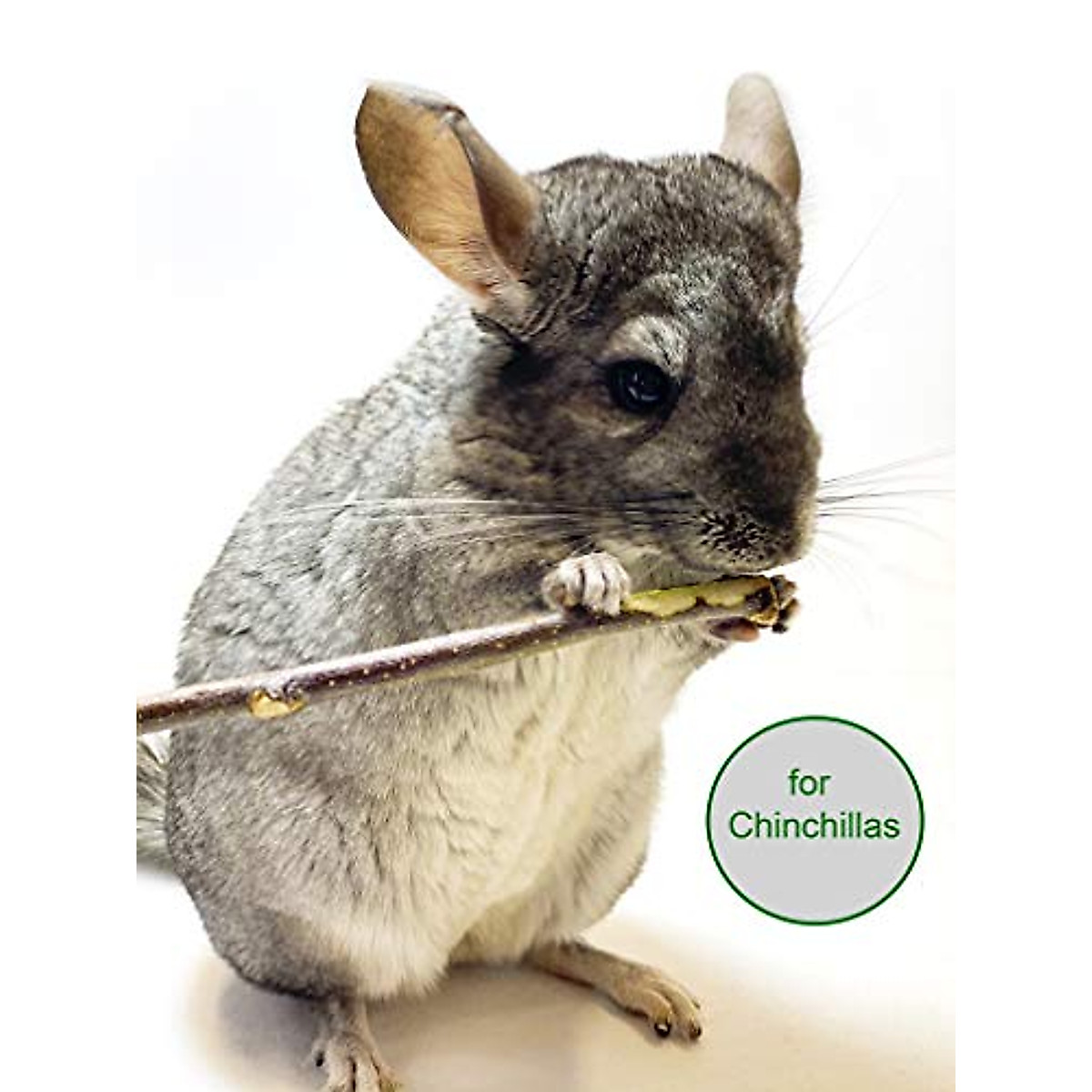 Apple Sticks 120 Gram Rabbit & Hamster Chew Toys - 100% Natural & Organic Chinchilla Food, Treats for Guinea Pig, Squirrels, Parrots & Other Small Animals (Made in Ukraine)