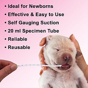 Dogzymes Delee Style Suction Catheter for Extracting Liquid or Mucous from Animal's Nose and Mouth with Easy to use Tubes and Gentle Mouth Suction