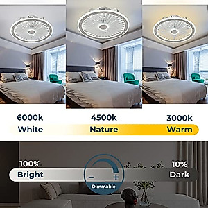 CHANFOK Low Profile Ceiling Fan with Lights, Modern Indoor Flush Mount Ceiling Fan with Remote Control LED Dimming Multi-Speed Invisible Blades Timing 19" (White)