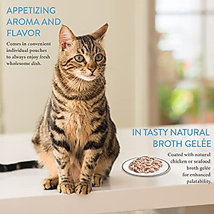 INABA Twin Packs for Cats, Grain-Free Shredded Chicken & Broth Gelée Side Dish/Topper Pouch, 1.4 Ounces per Serving, 22.4 Ounces Total (16 Servings), Tuna & Chicken Recipe in Tuna Broth