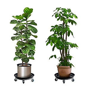 Choclaif Plant Caddy with Wheels - Heavy Duty Iron Plant Stand - Round Pot Trolley for Indoor and Outdoor - Built-in Drainage System - Durable and Easy Mobility(14IN, 3PACK)