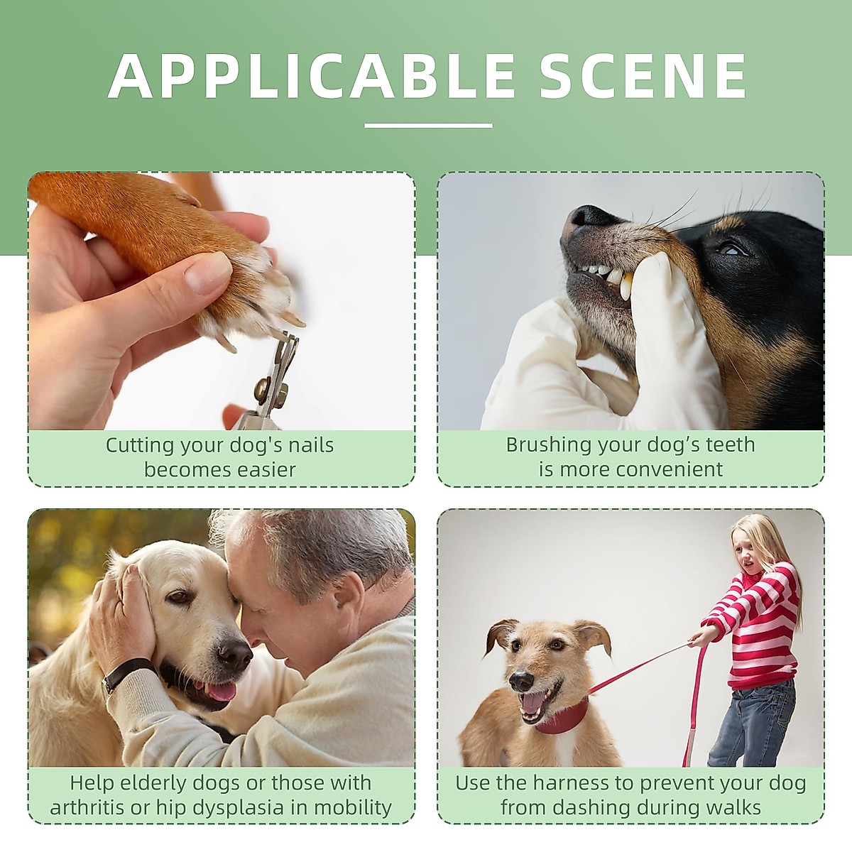 TIPOOP Easy to Wear Support for Dogs - Spinal Stability and Pain Relief