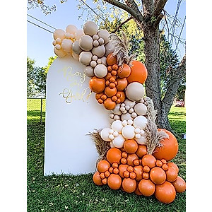 Beaumode Little Pumpkin Balloon Arch Garland Kit for Little Pumpkin Baby Shower Birthday Thanksgaving Fall In Love Bridal Shower Fall themed Rustic Boho Orange Party decorations (Orange Blush)