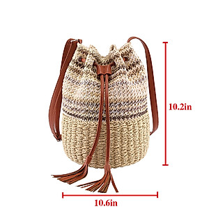 CHIC DIARY Summer Beach Straw Bag for Women Crossbody Bucket Bag Handwoven Rattan Shoulder Handbag Purse (Beige)