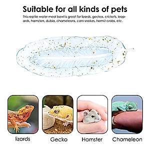 JANKOW 1 Pair DIY Handmade Long Leaf-Shaped Reptile Food Water Bowl, Plate Dish for Tortoise, Snake, Hermit Crab, and Chameleon for Drinking and Eating