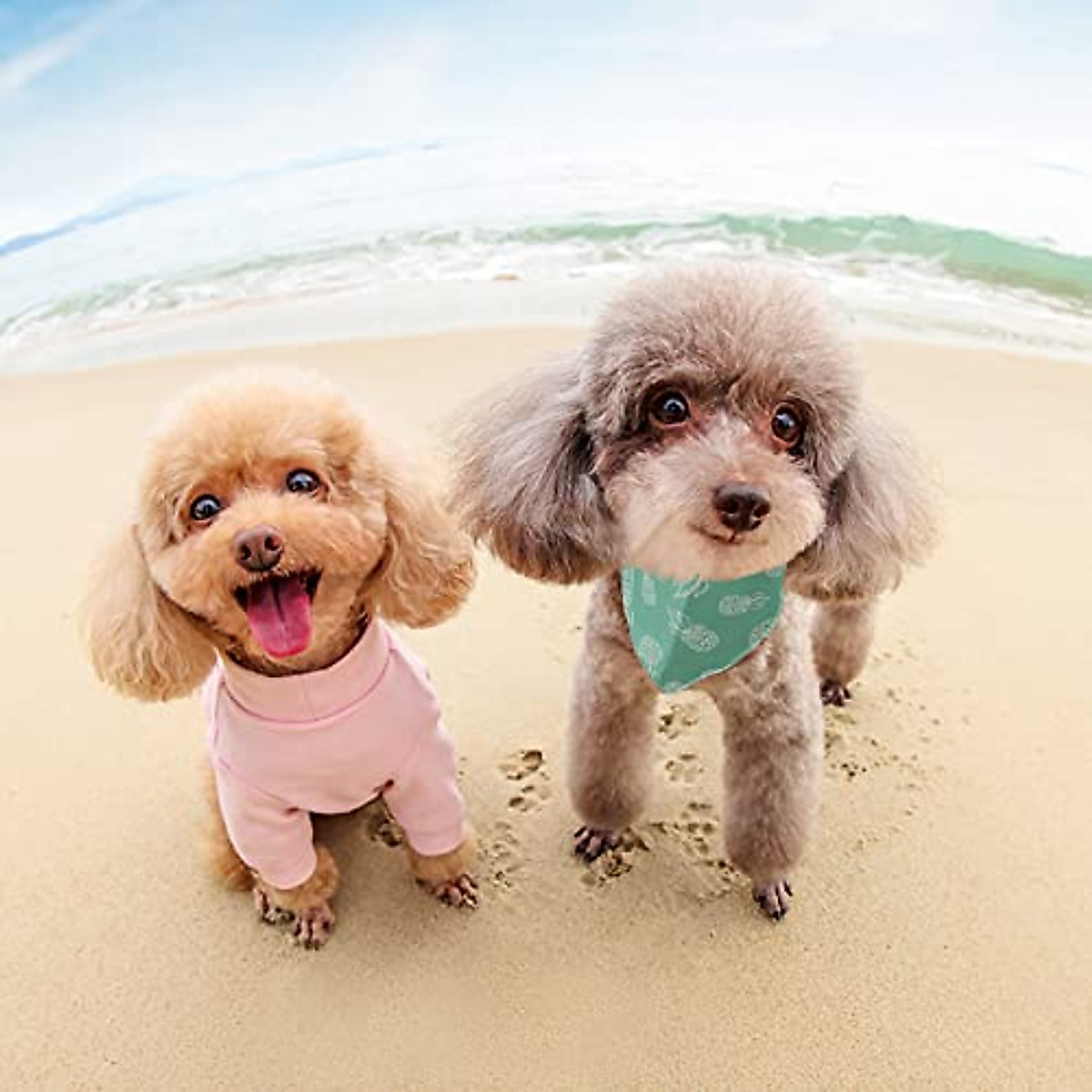 Small Dog Bandanas, DORUI 4 Pack Pet Bandanas, Premium Durable Fabric, Unique Design, Adjustable Scarf for Cat Puppy Small Dogs(Small)