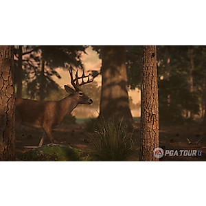 Rory McIlroy: PGA Tour