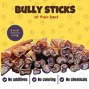 Woofley's 6" Mixed Thickness Buffalo Bully Sticks - (8 oz) -Bully Sticks for Dogs - Long Lasting Bully Stick Dog Chews