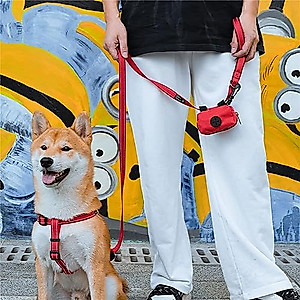 EXCELLENT ELITE SPANKER Strong Durable Nylon Dog Training Leash Traction Rope 5 Feet Long 3/4" Wide with Poop Bag Holder for Small Dogs(Pink)