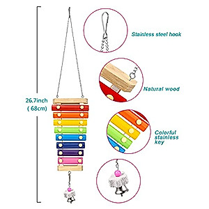 Woiworco 5 Packs Chicken Toys, Chicken Xylophone Toy for hens, Chicken Mirror Toys, Chicken Ladders Swing Toys and Vegetable Hanging Feeder Chicken Coop Accessories
