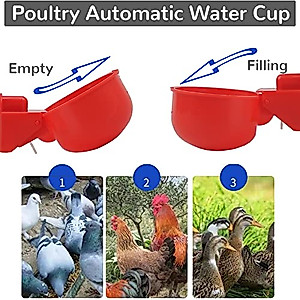 Large Automatic Chicken Filling Water Cup Poultry Waterer Kit Auto Watering Drinker System Drinking Feeder Cup for Ducks Turkeys Quail Chicks (3 Pack)