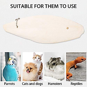 POPETPOP Bird Cuttlebone - Cuttlefish Bones Hanging Pendant Parrot Toy for Bird,Parakeets, Finches, Canaries, 3 Pcs Parakeet Cuttlebone Holder