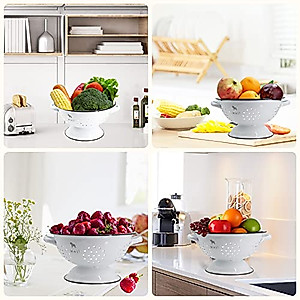 Enamel Fruit Bowl Basket for Kitchen Counters Decorative Fruit Bowl Home Table Decor, Applicable to Farmhouse Decor, Holiday Decoration (Pony)